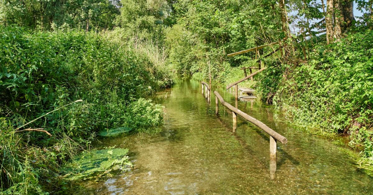 Barfußpfade in Bayern | 12 Tipps für gesundes Gehen + Füße
